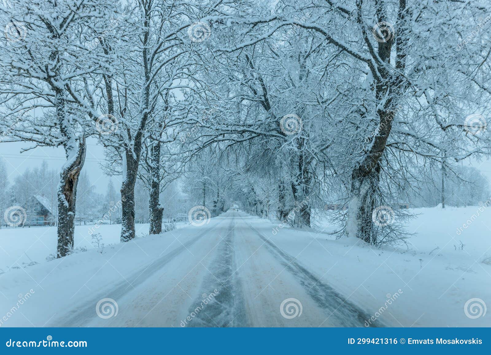 Wintry Path through a Chilly Forest with Snow Covered Trees. Winter ...