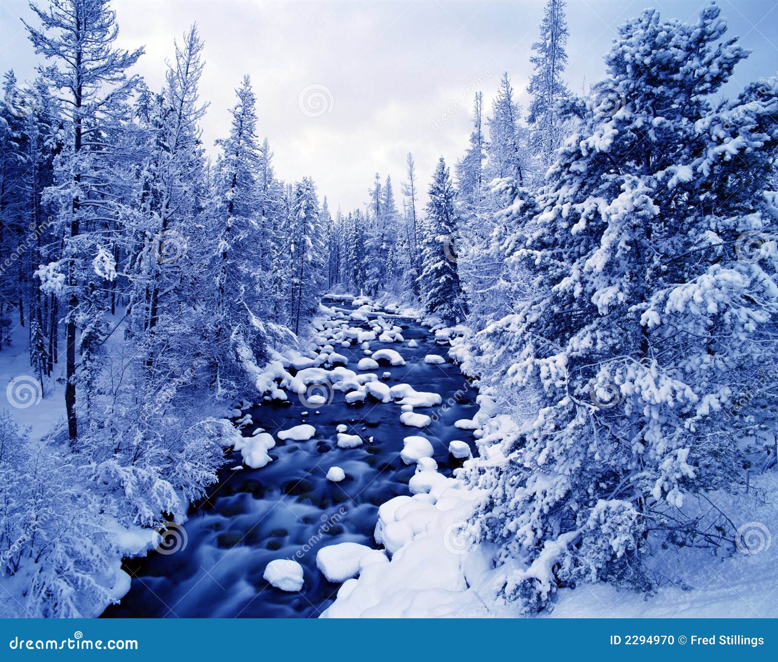 Wintry River Landscape stock photo. Image of cloudy, woodland - 2294970