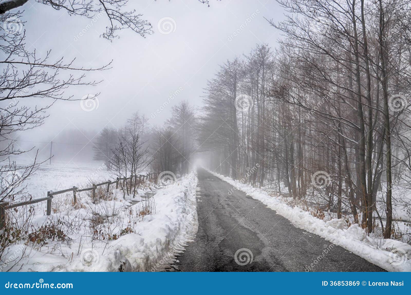 Wintry Scenery-4 stock image. Image of water, trees, pinfold - 36853869