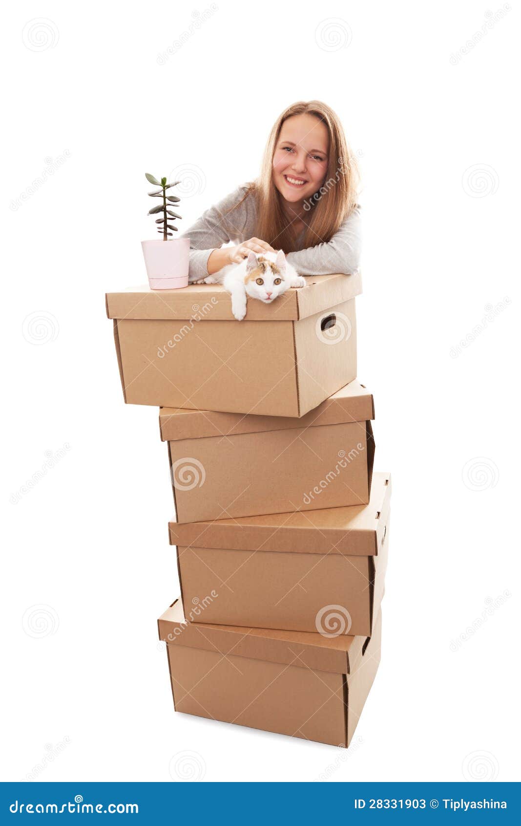 Wir ziehen um! stockbild. Bild von eigentum, blick, paket - 28331903