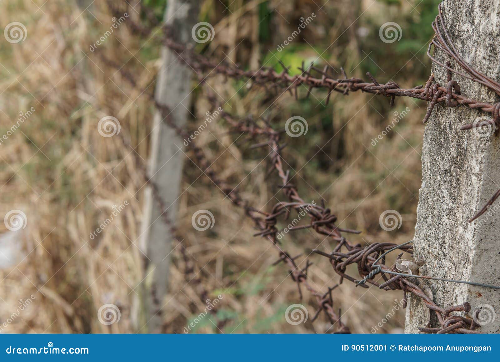 Wire stock image. Image of fence, woodland, brown, concrete - 90512001