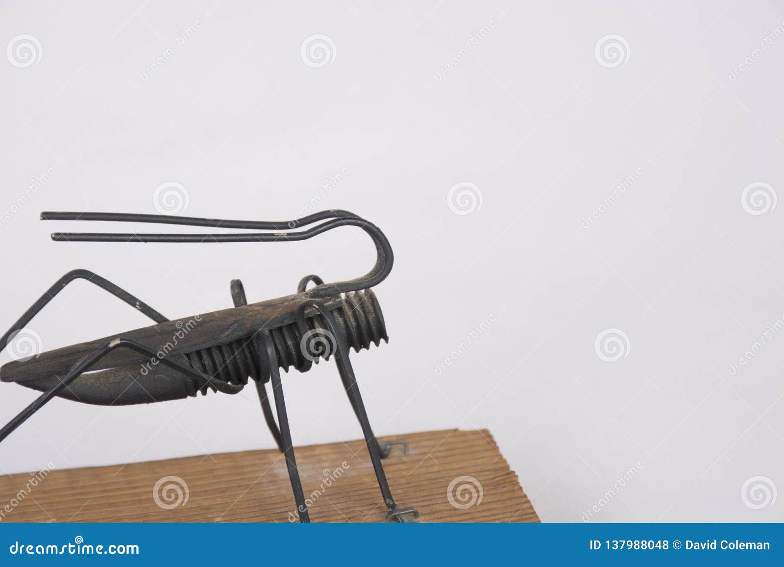 Wire and Bolt Bug Sculpture Stock Photo - Image of bolt, mounted: 137988048