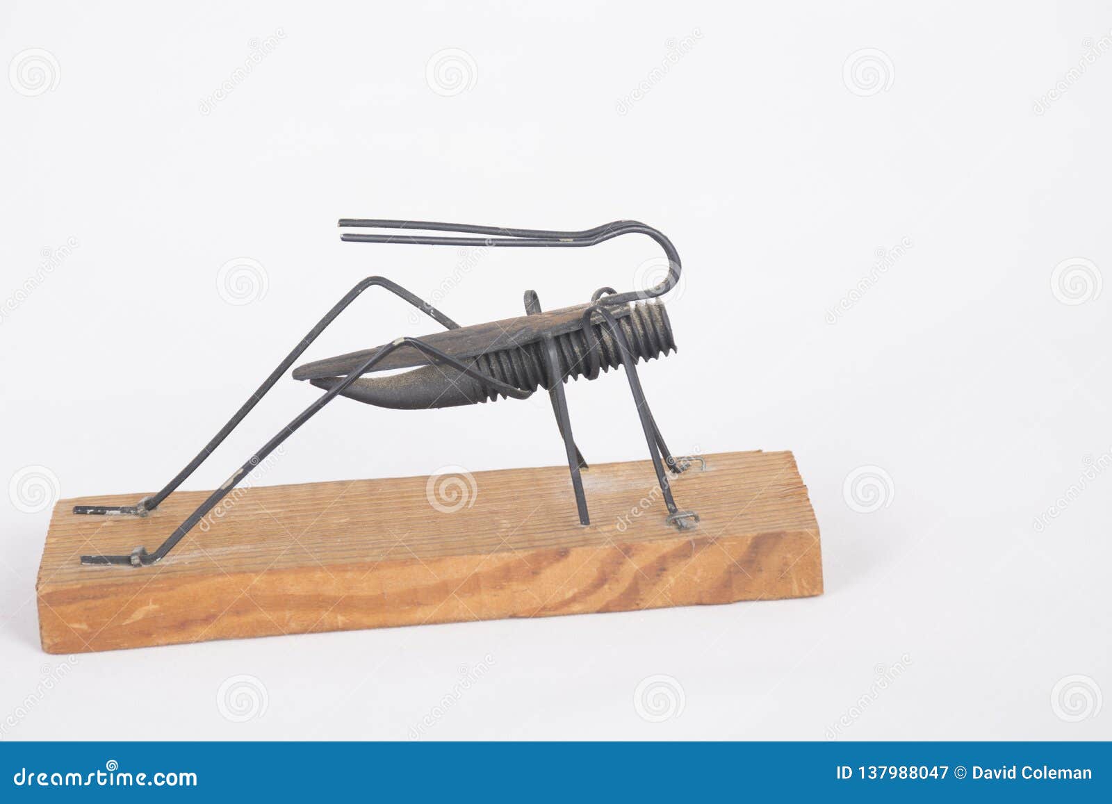 Wire and Bolt Bug Sculpture Stock Image - Image of tiny, artwork: 137988047