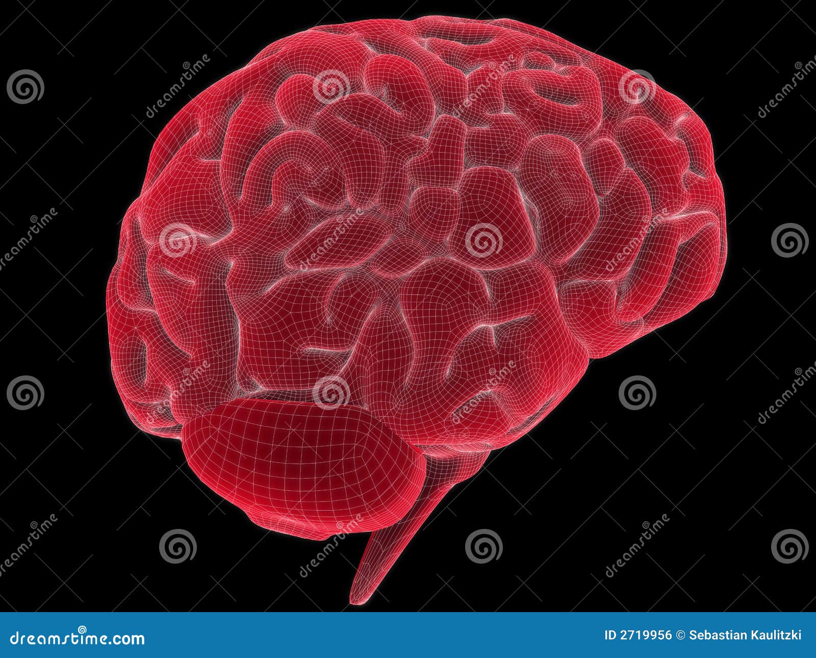 Wire brain stock illustration. Illustration of cerebra - 2719956