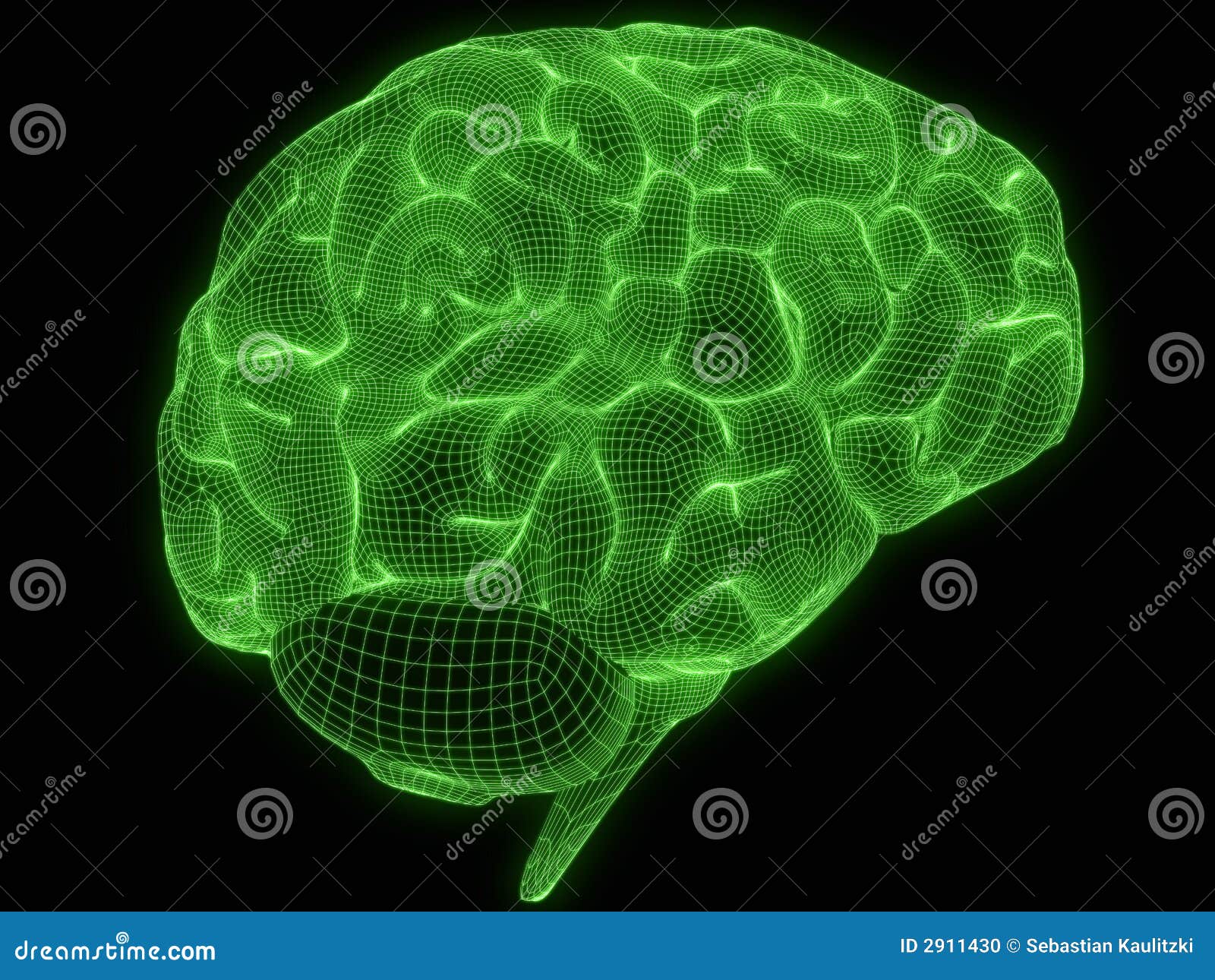 Wire brain stock illustration. Illustration of physiology - 2911430