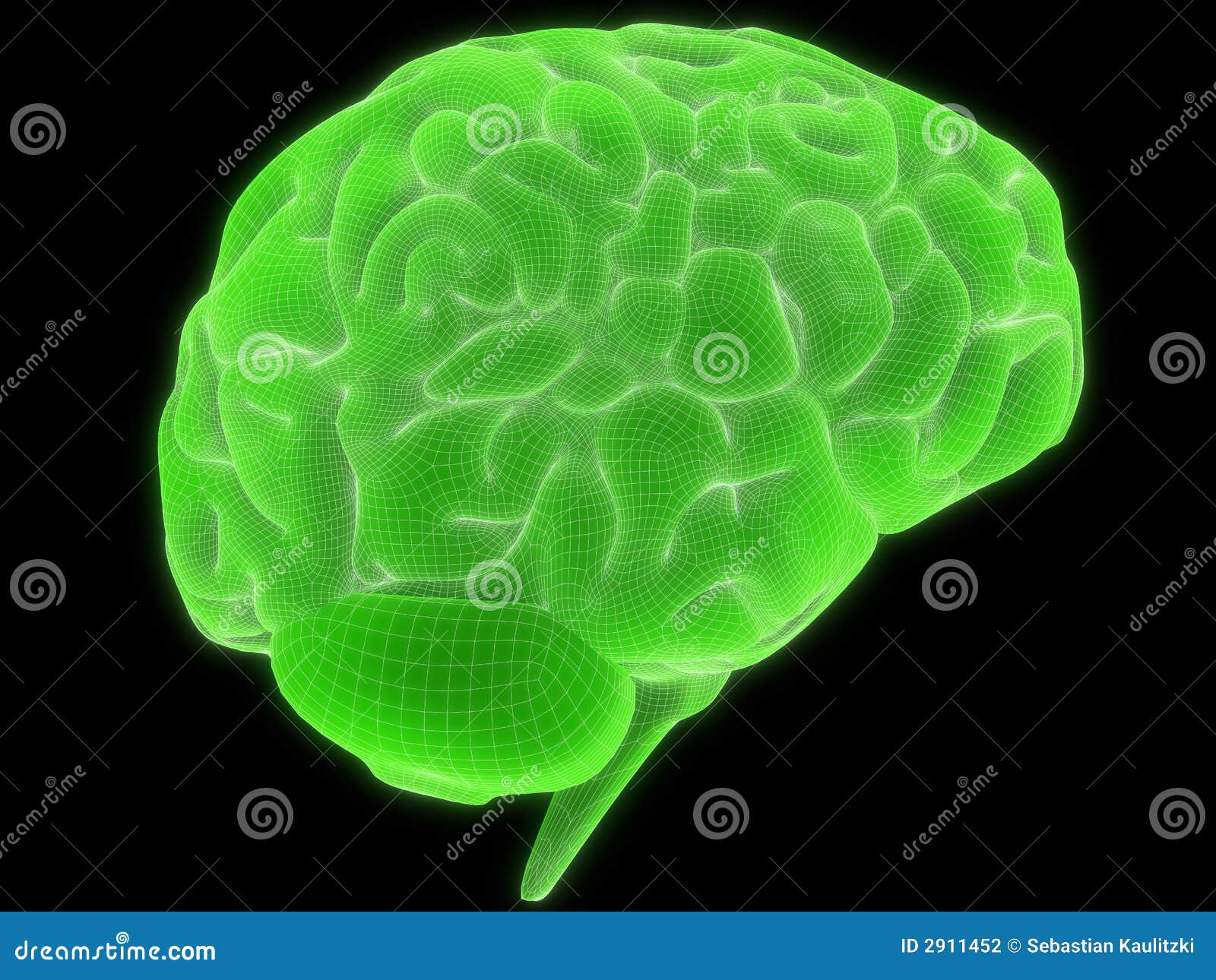 Wire brain stock illustration. Illustration of brainy - 2911452