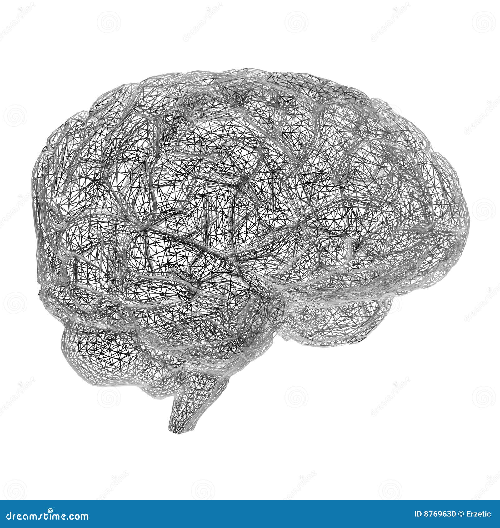 Wire brain stock illustration. Illustration of thinking - 8769630