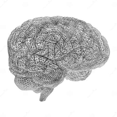 Wire brain stock illustration. Illustration of thinking - 8769630