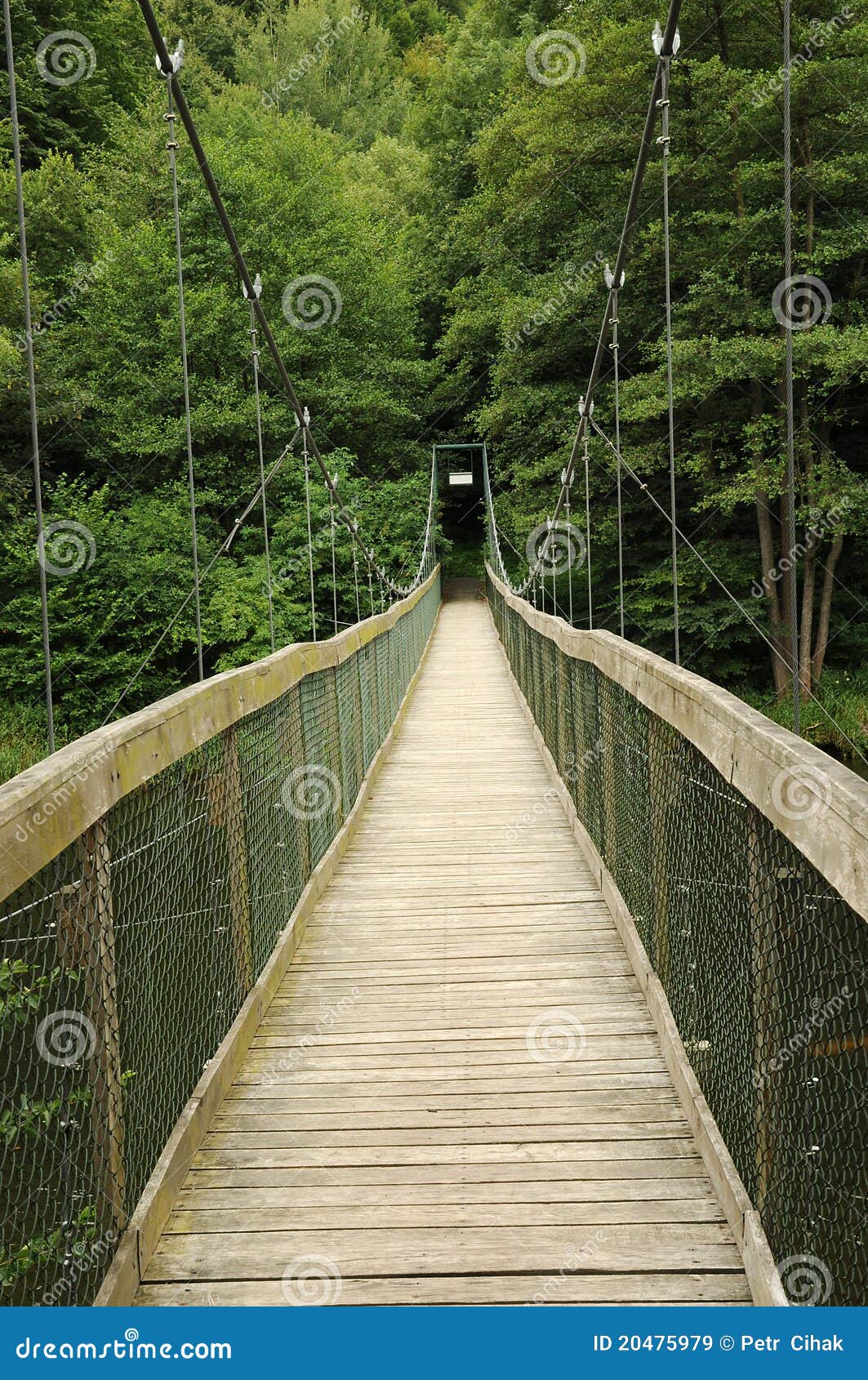 Wire bridge stock image. Image of steel, nature, hanging - 20475979