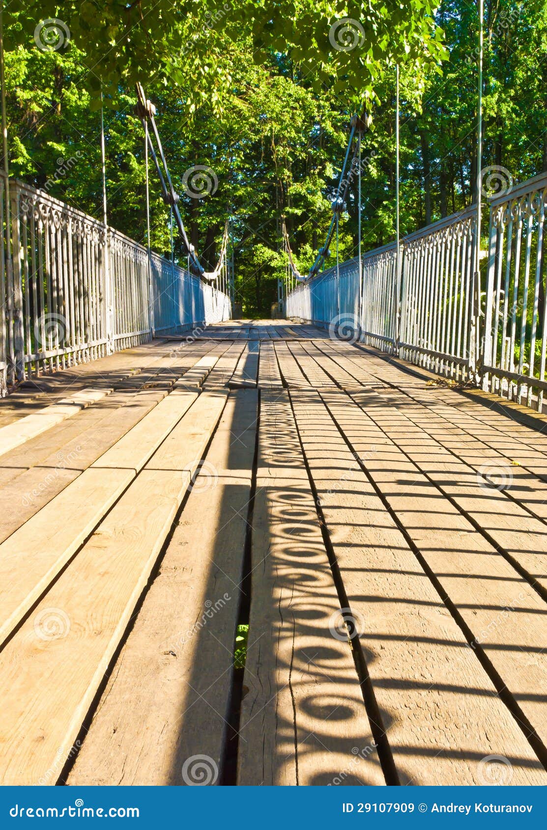 Wire bridge stock image. Image of shade, bush, passage - 29107909