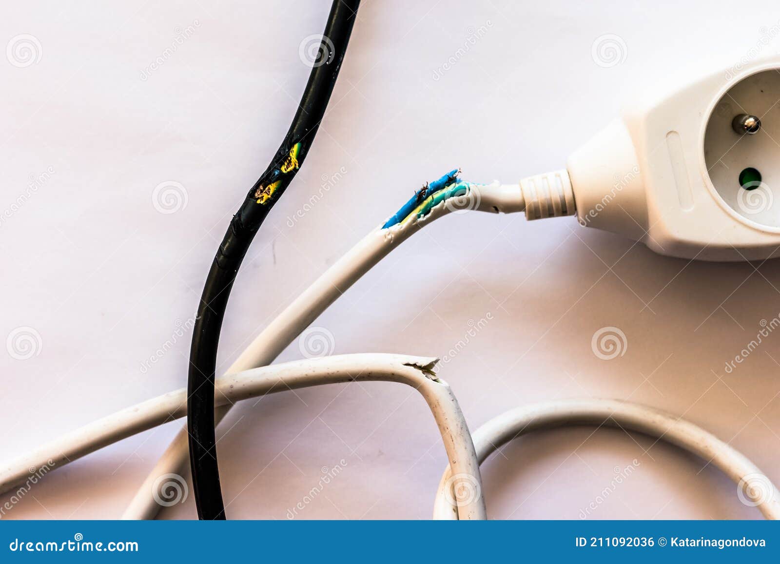 Electrical Cable Chew and Broken Stock Photo - Image of electricity ...