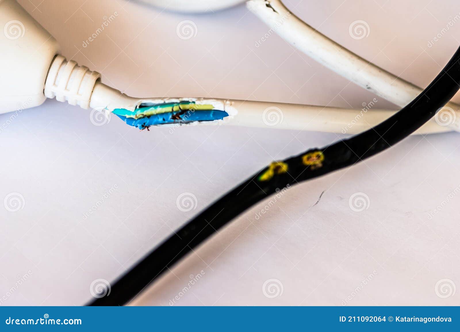 Electrical Cable Chew and Broken Stock Photo - Image of humor, metal ...