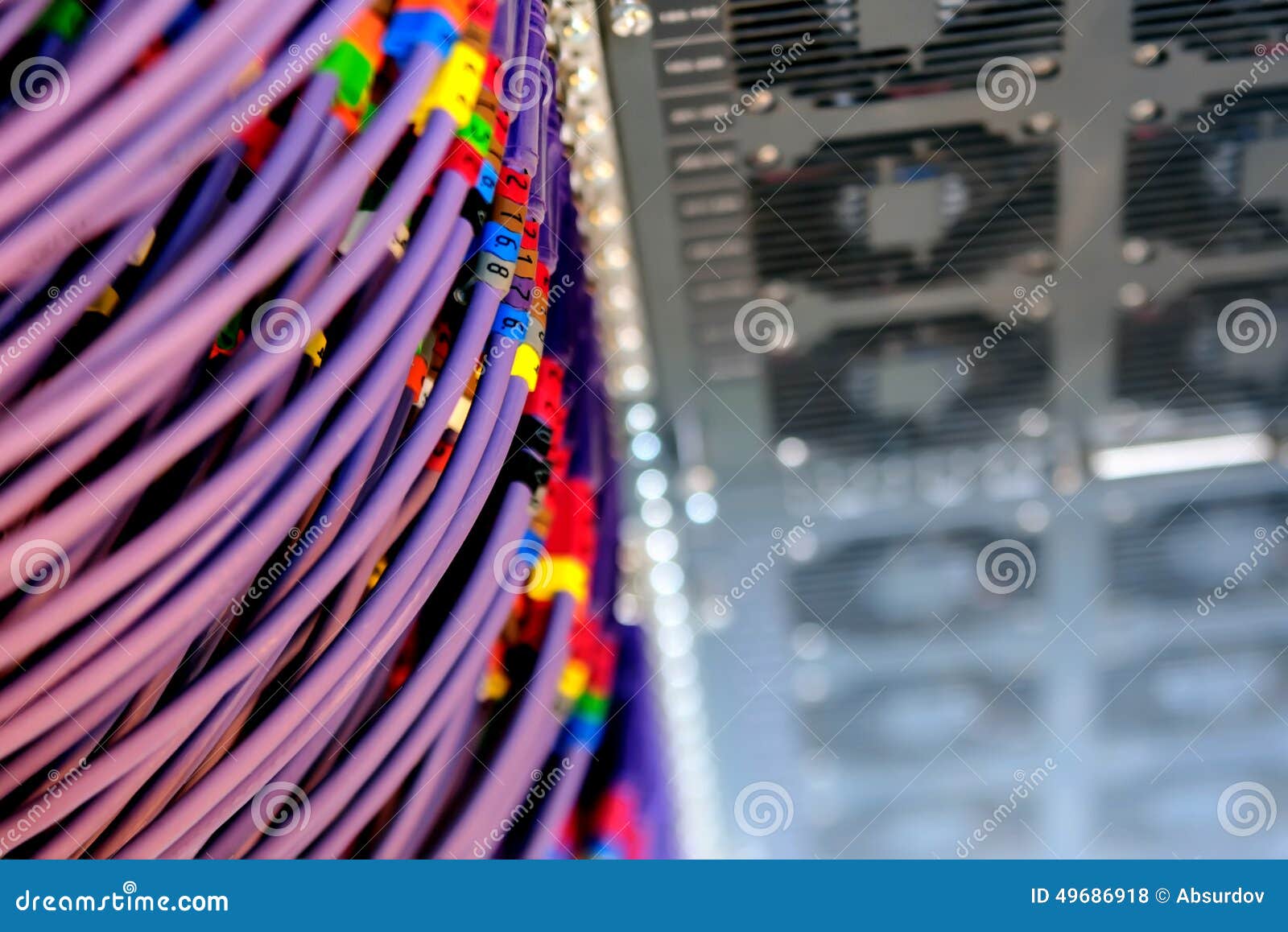 Wire Connected To the Server Stock Photo - Image of internet ...