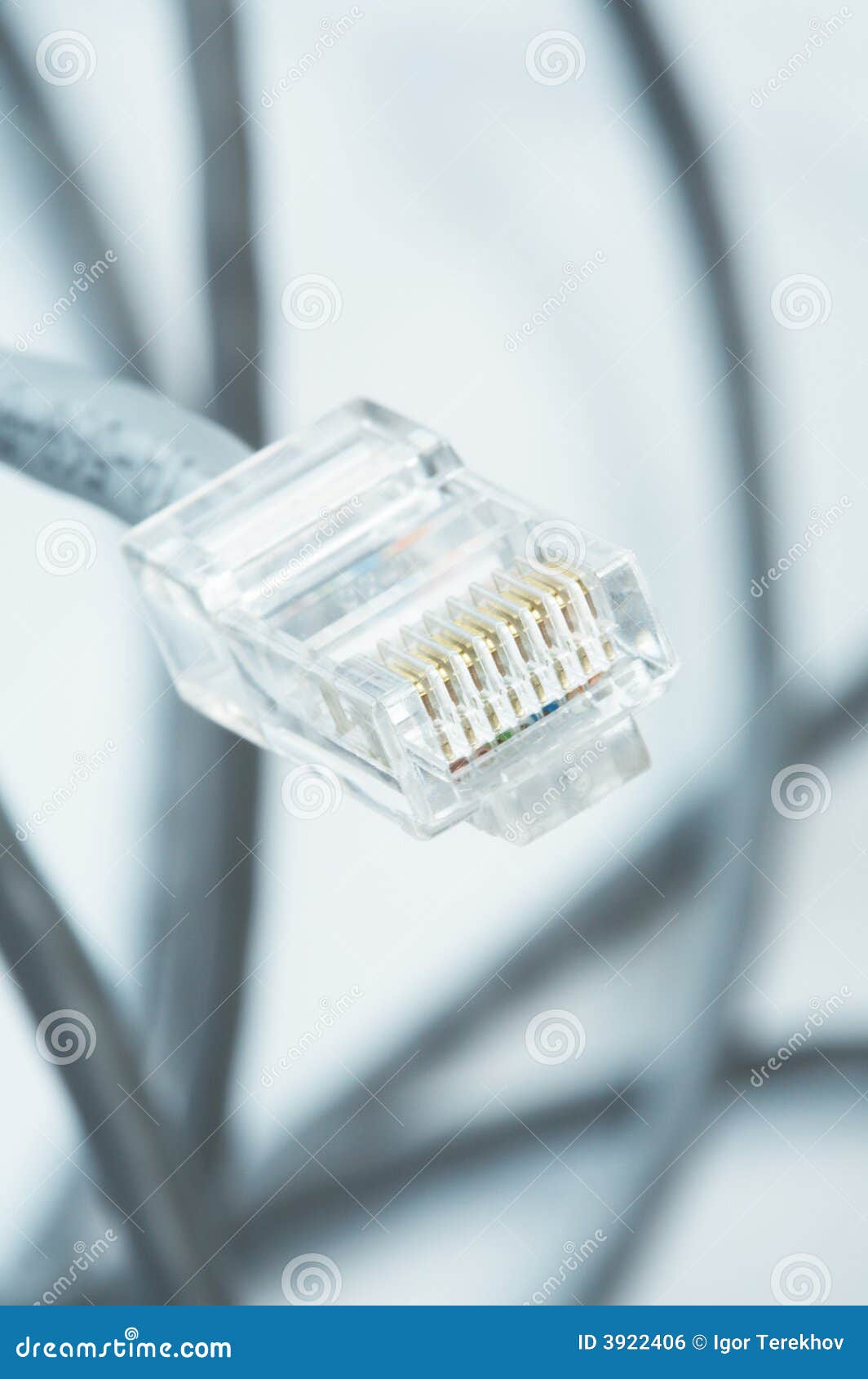Wire for Connection of a Computer Stock Photo - Image of link ...