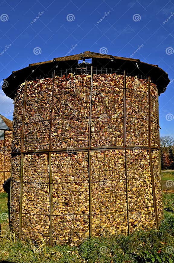 Wire crib full of corn stock image. Image of rural, farmer - 79633903