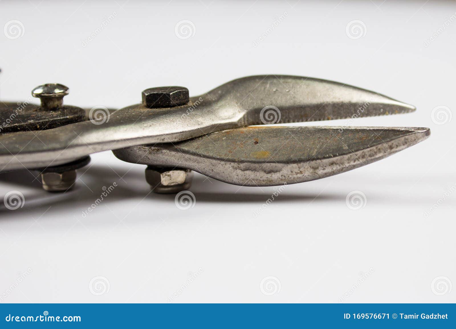 Wire Cutters Articulated Lip Instrument Reference Stock Image - Image ...