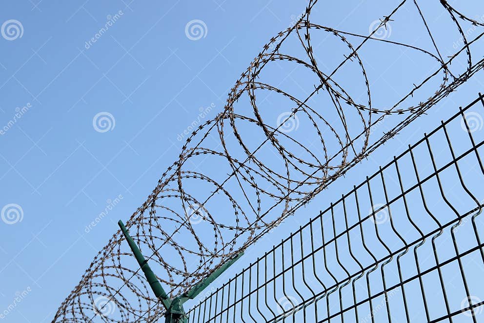 Wire entanglement stock photo. Image of cordon, horrific - 106130550