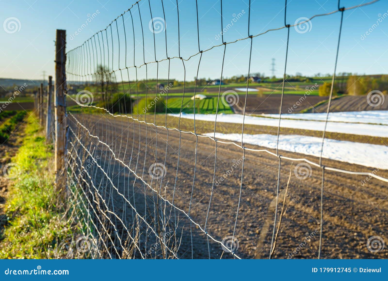 Wire farming fence stock image. Image of field, industrial - 179912745