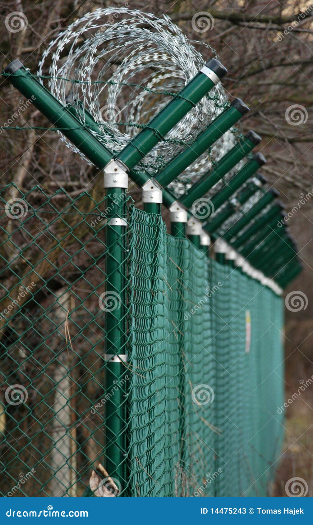 Wire fence stock image. Image of security, tree, freedom - 14475243