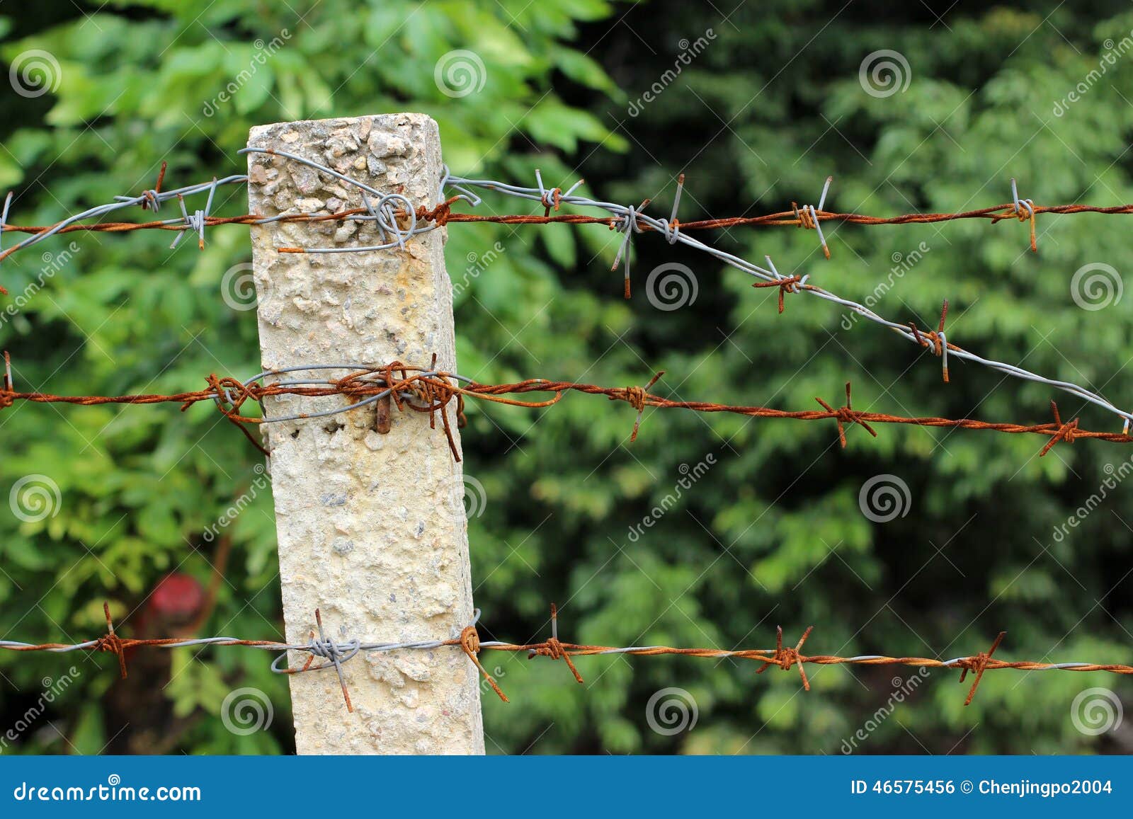 The wire fence stock photo. Image of green, iron, thistles - 46575456