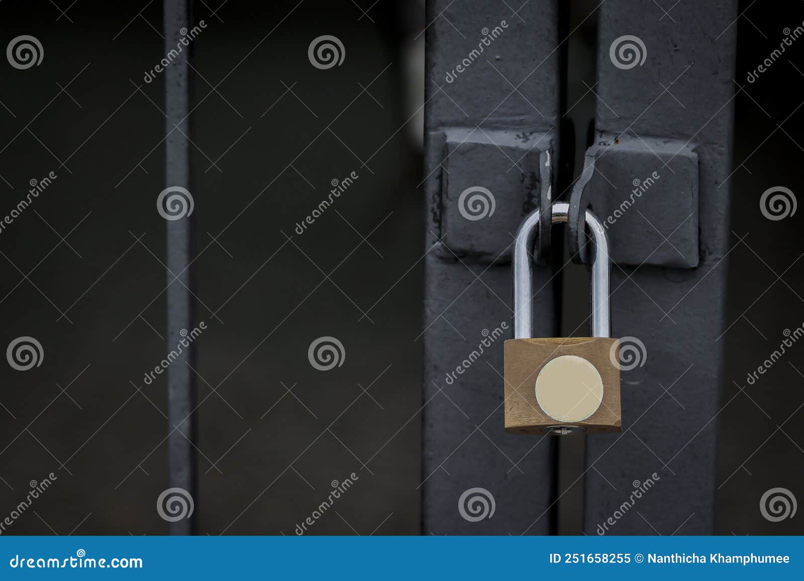 Wire fence door with lock stock image. Image of closeup - 251658255