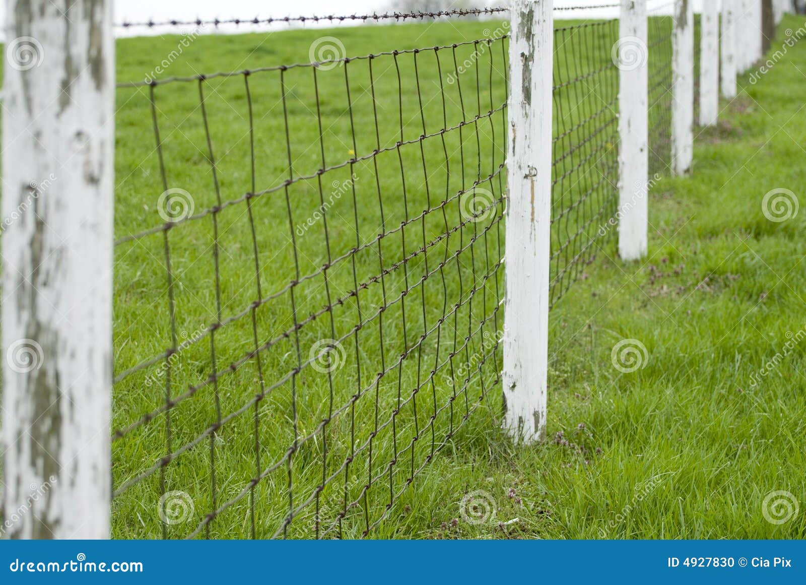 Wire fence in green field stock photo. Image of background - 4927830
