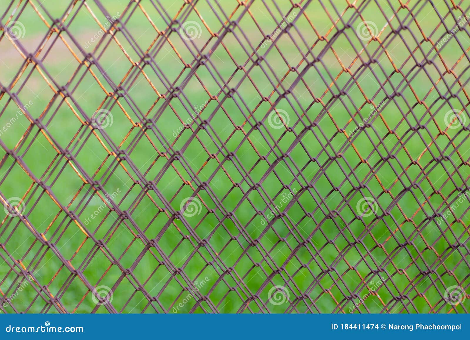 Wire Fence with Green Grass on Background Stock Photo - Image of ...