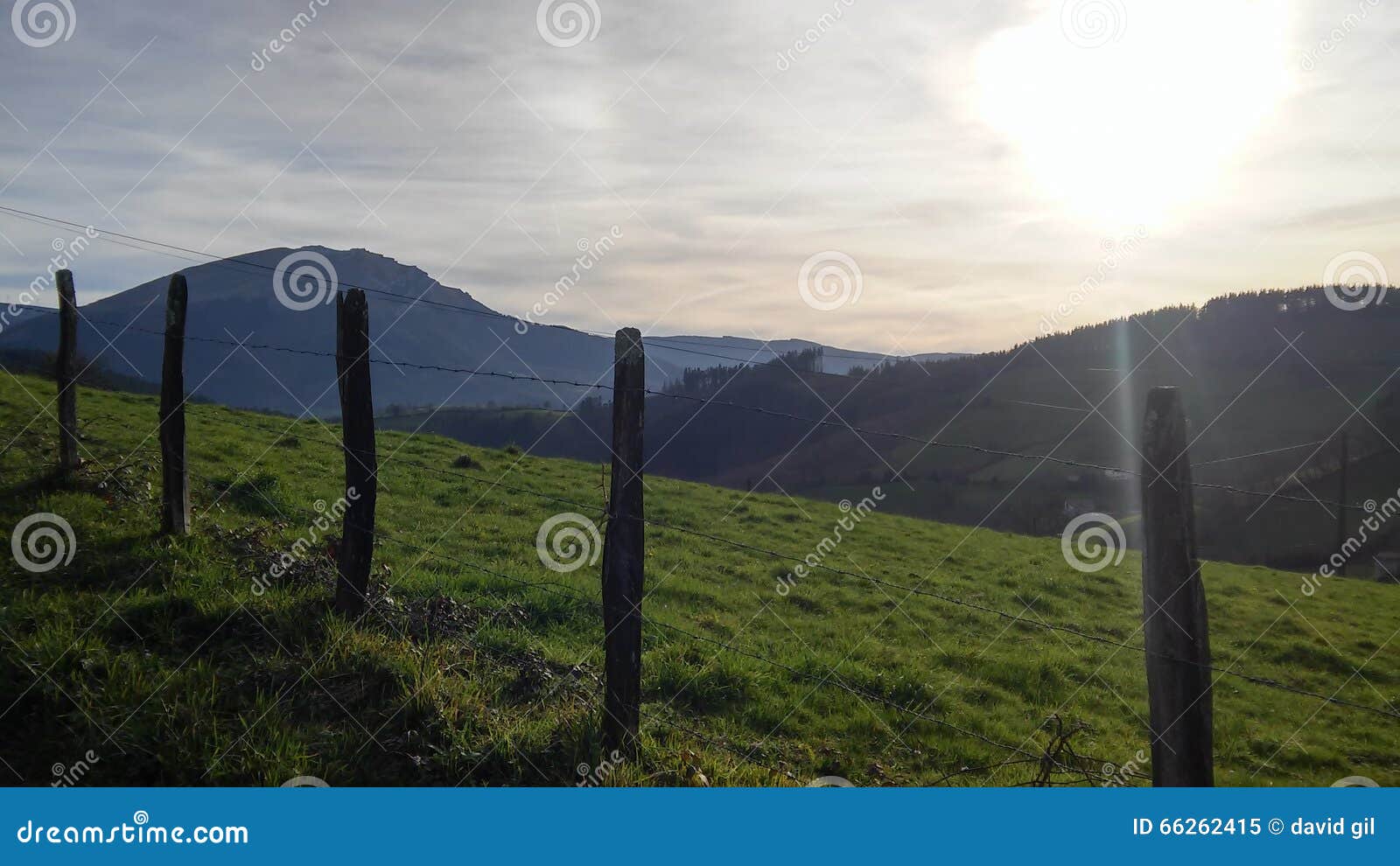 Wire Fencing Sunbathing Stock Photos - Free & Royalty-Free Stock Photos ...