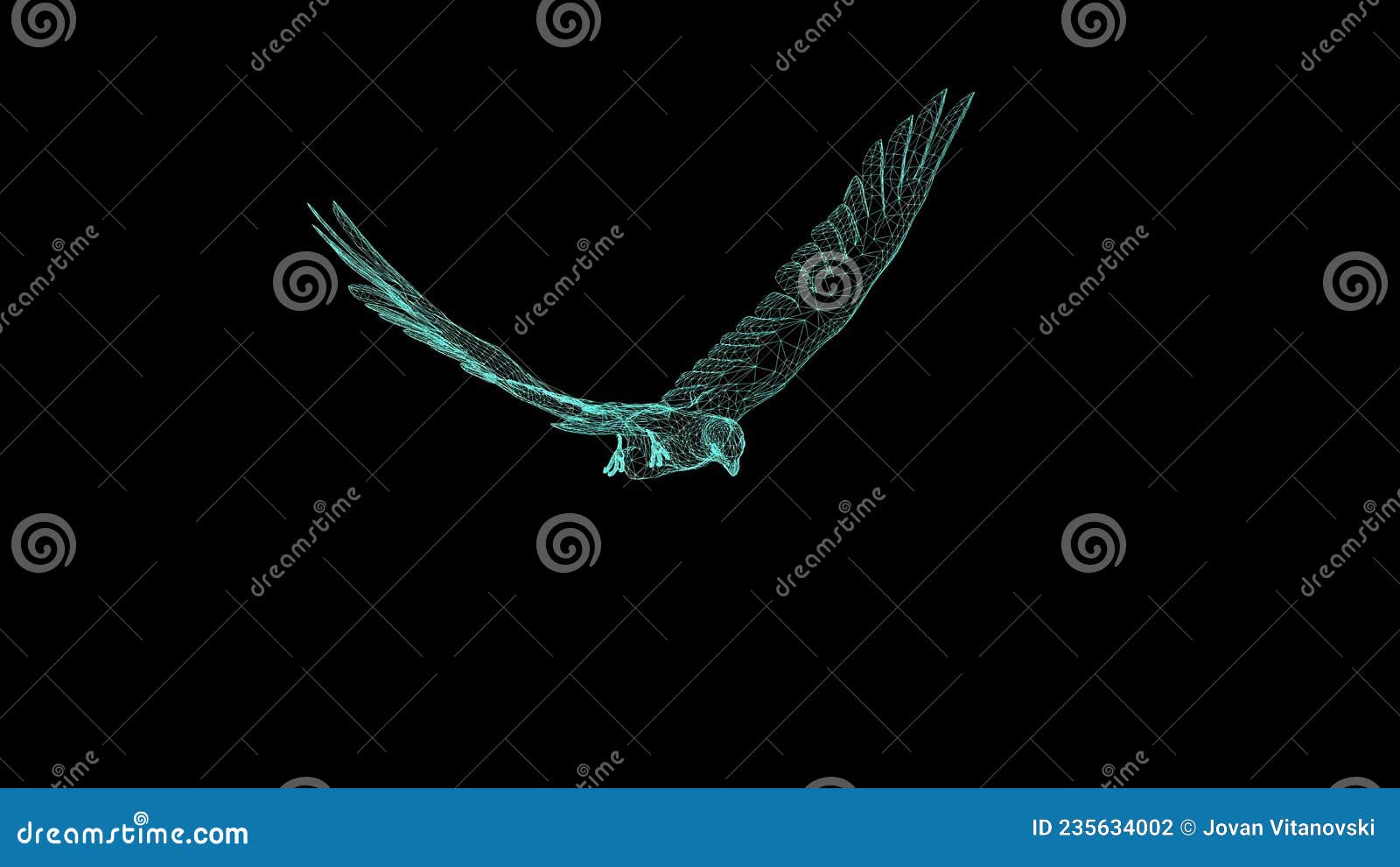Wire Frame of Falcon Gliding and Flapping on Black Background Stock ...