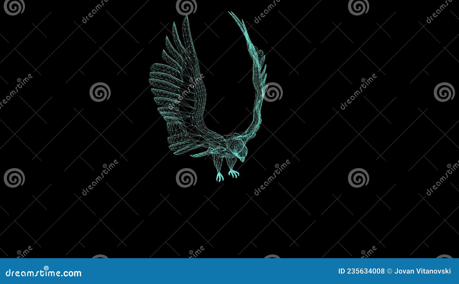 Wire Frame of Falcon Gliding and Flapping on Black Background Stock ...