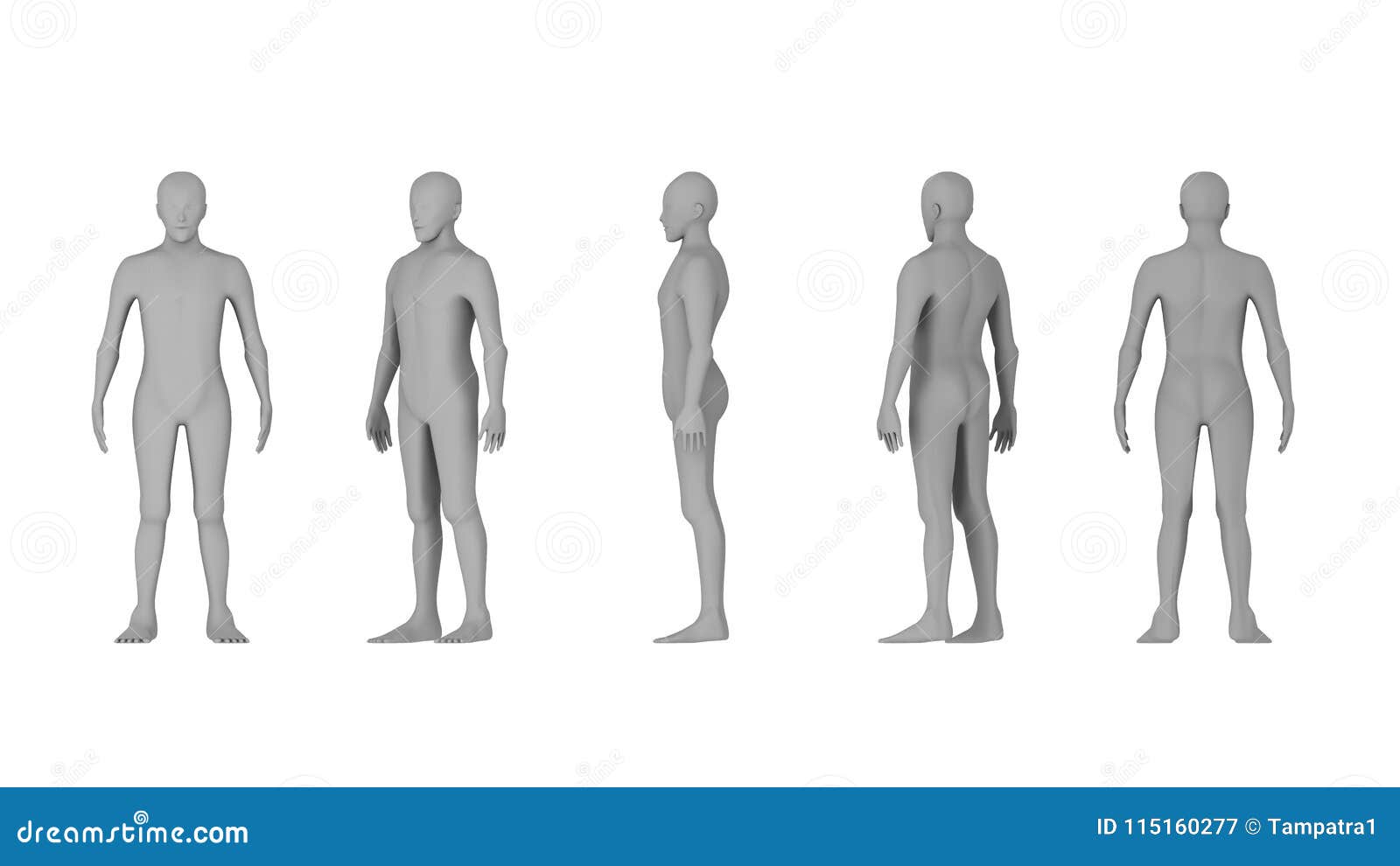 Wire Frame of Human Bodies. Polygonal Model on White Background Stock ...