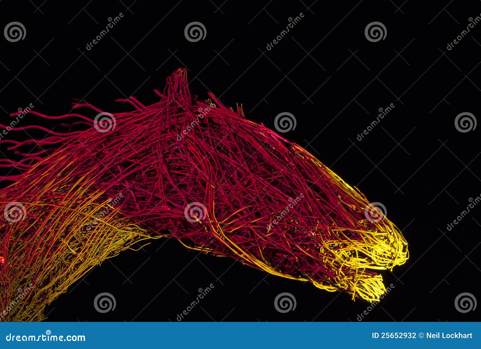 Wire Horse Head stock photo. Image of background, wire - 25652932