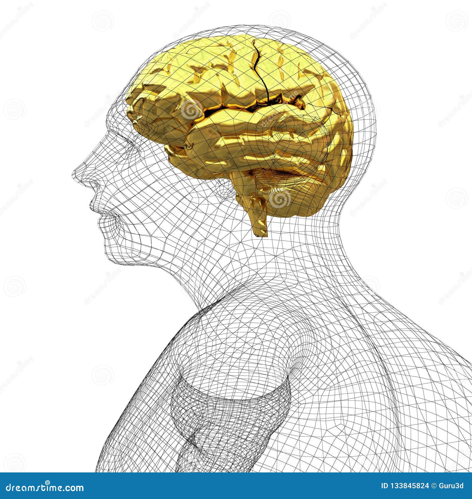 Wire Human Head Model with Gold Brain Stock Illustration - Illustration ...