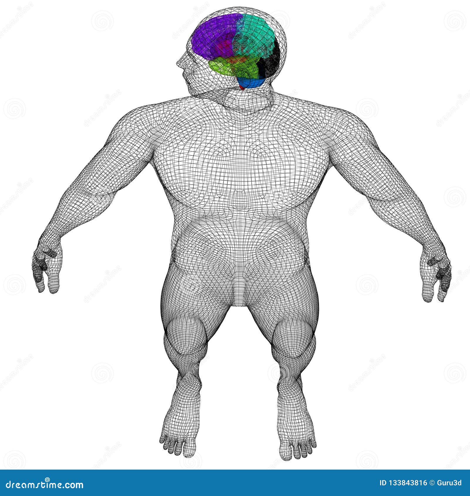 Wire Human Model with Brain Stock Illustration - Illustration of ...