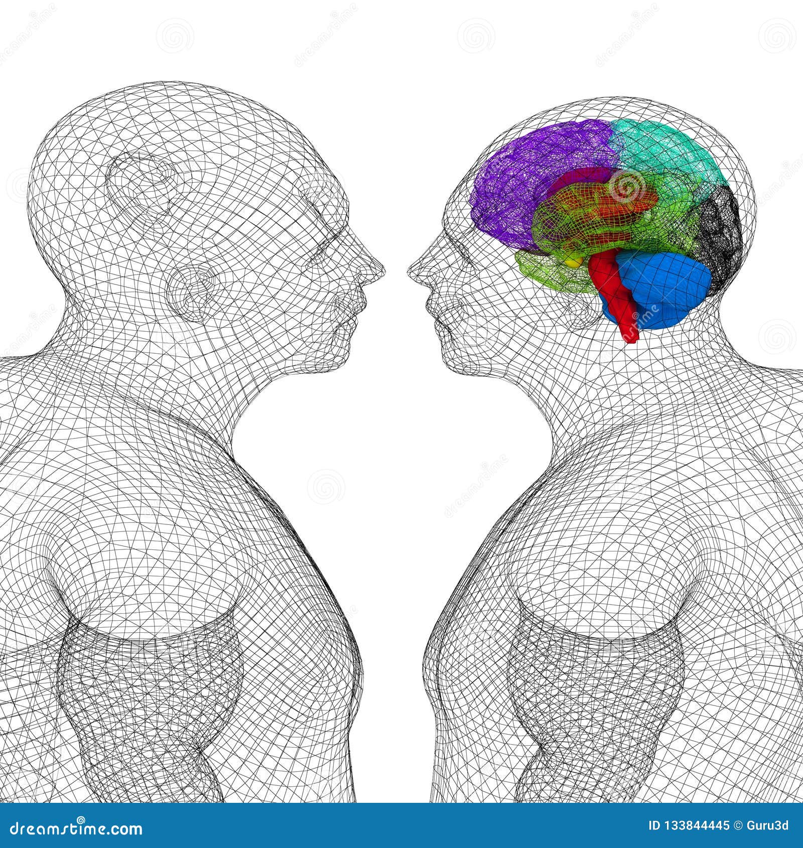 Wire Human Model with Brain Stock Illustration - Illustration of ...