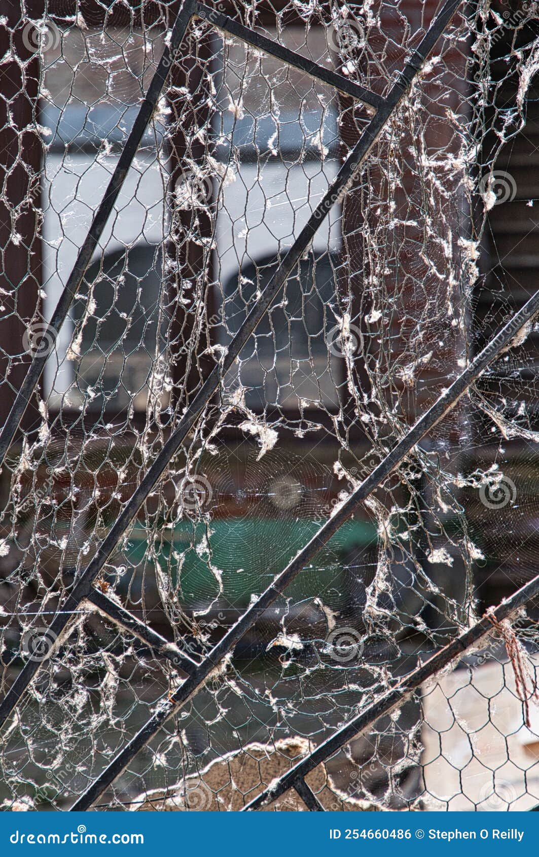 Wire Mesh and Cobwebs on an Old Frame Stock Photo - Image of frame ...