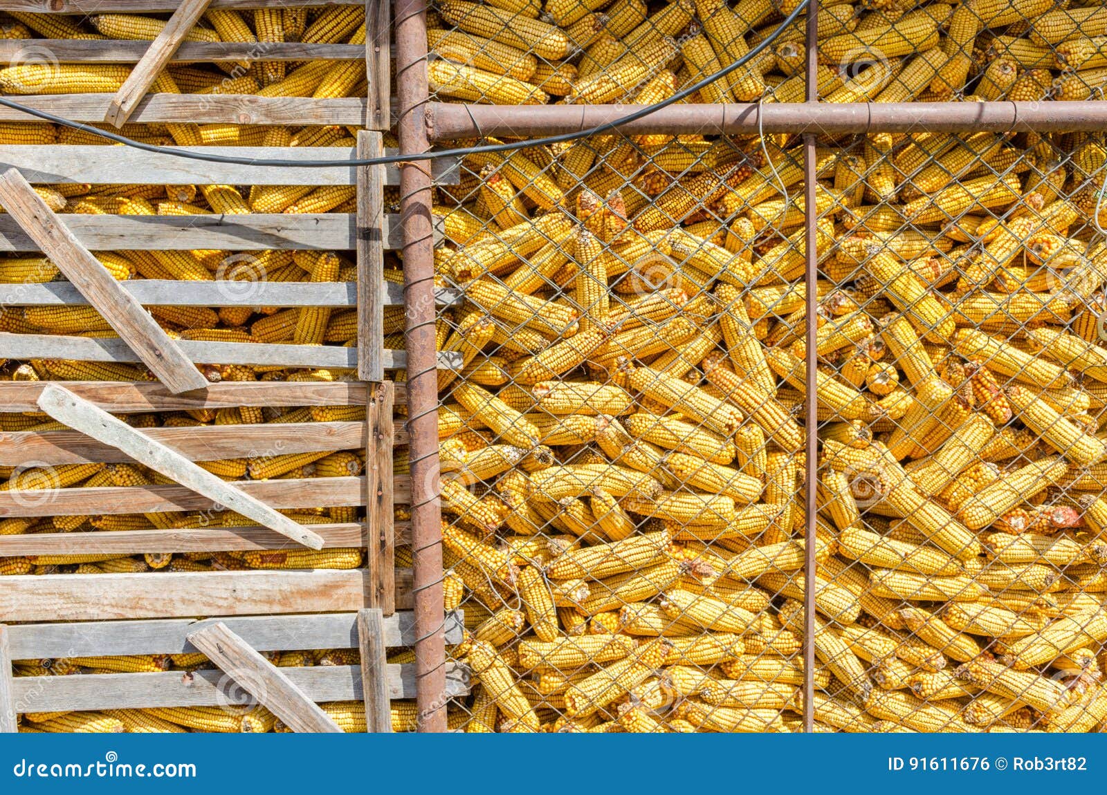 Wire mesh corn storage stock photo. Image of ohio, environmental - 91611676