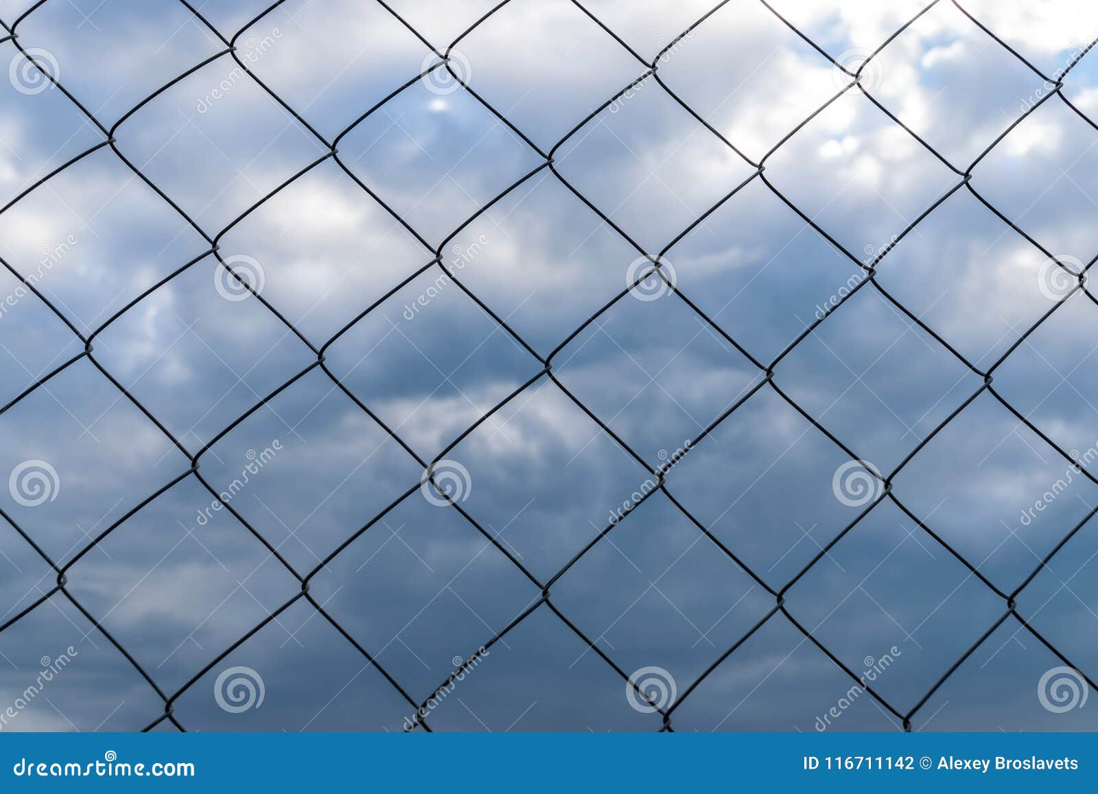 Wire mesh fence Rabitz net stock photo. Image of nature - 116711142