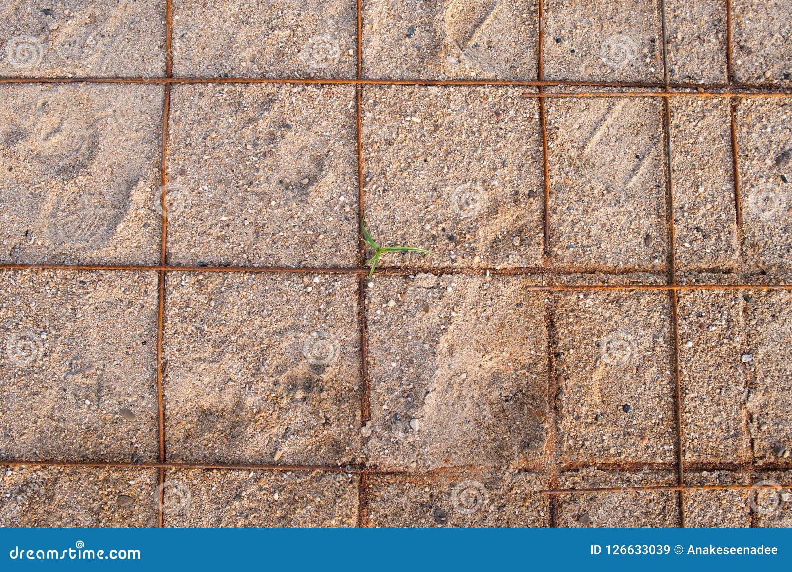 Wire Mesh ground sand stock image. Image of road, pattern - 126633039