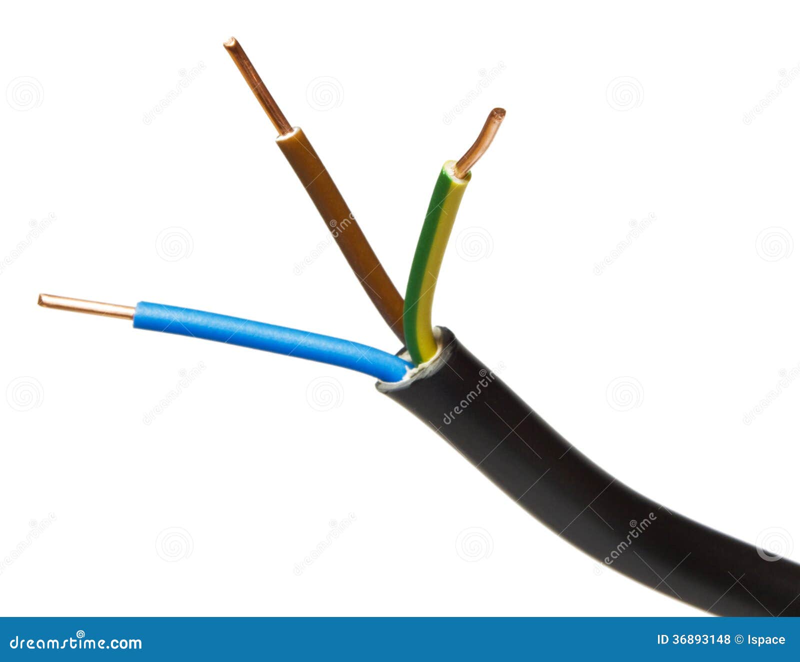 Wire netting stock photo. Image of iron, metal, separate - 36893148