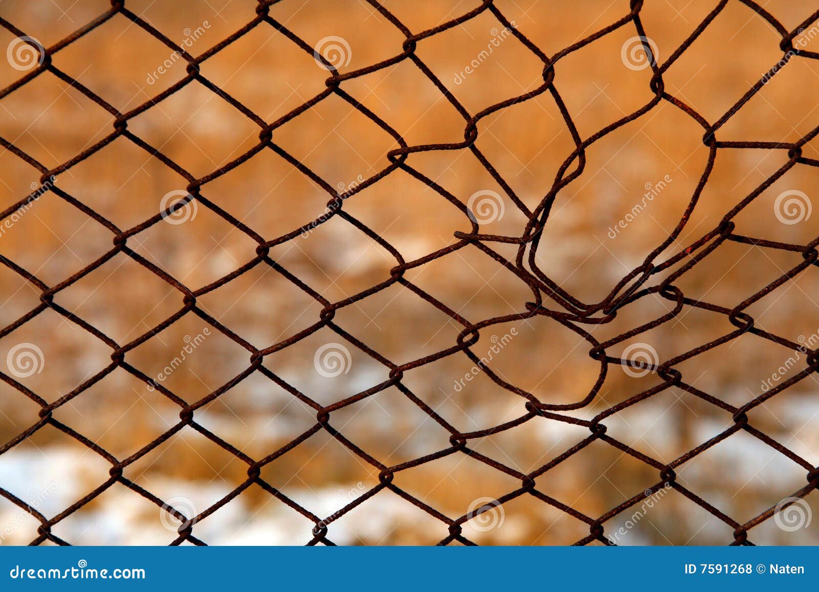Wire Netting Stock Photography | CartoonDealer.com #524984