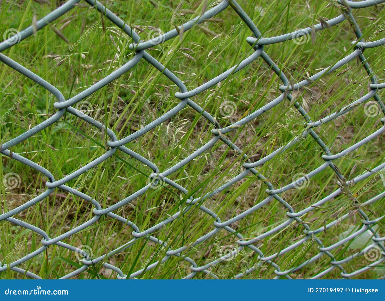 Wire Netting, Fence, Gardening Stock Image - Image of farm, airy: 27019497