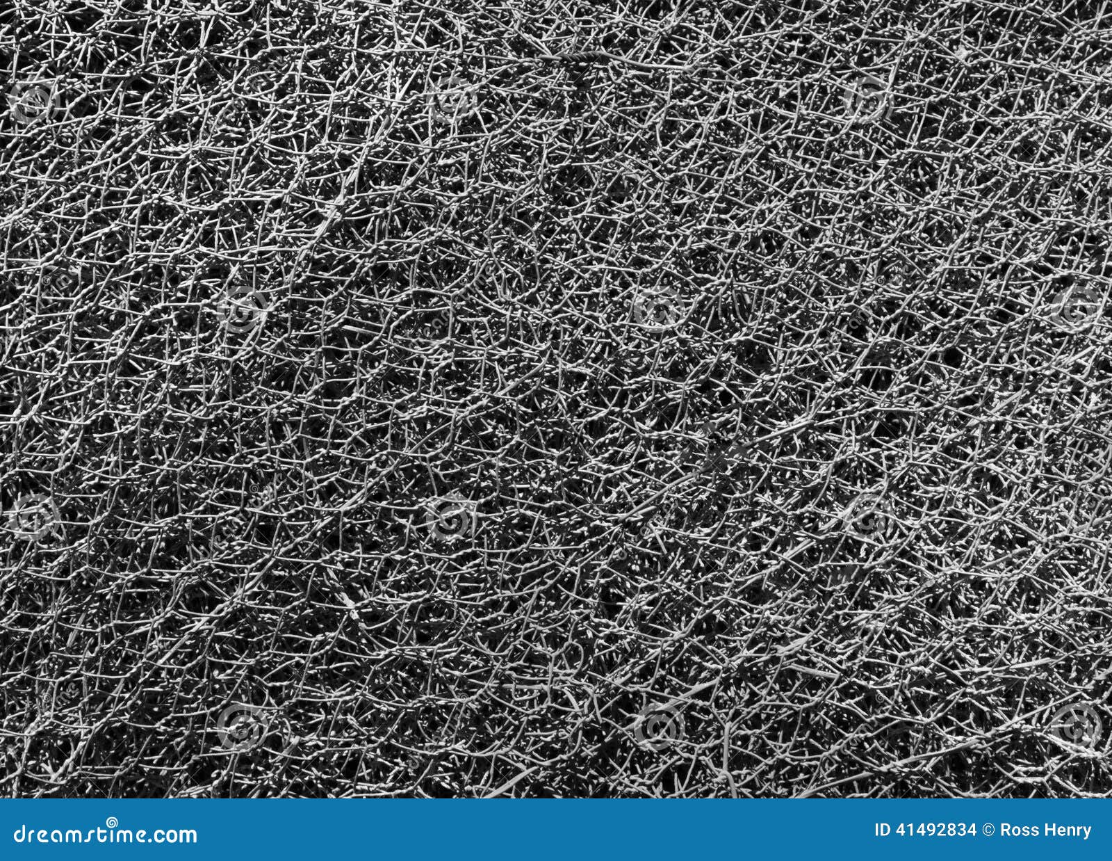 Wire Netting Texture stock photo. Image of steel, synthetic - 41492834