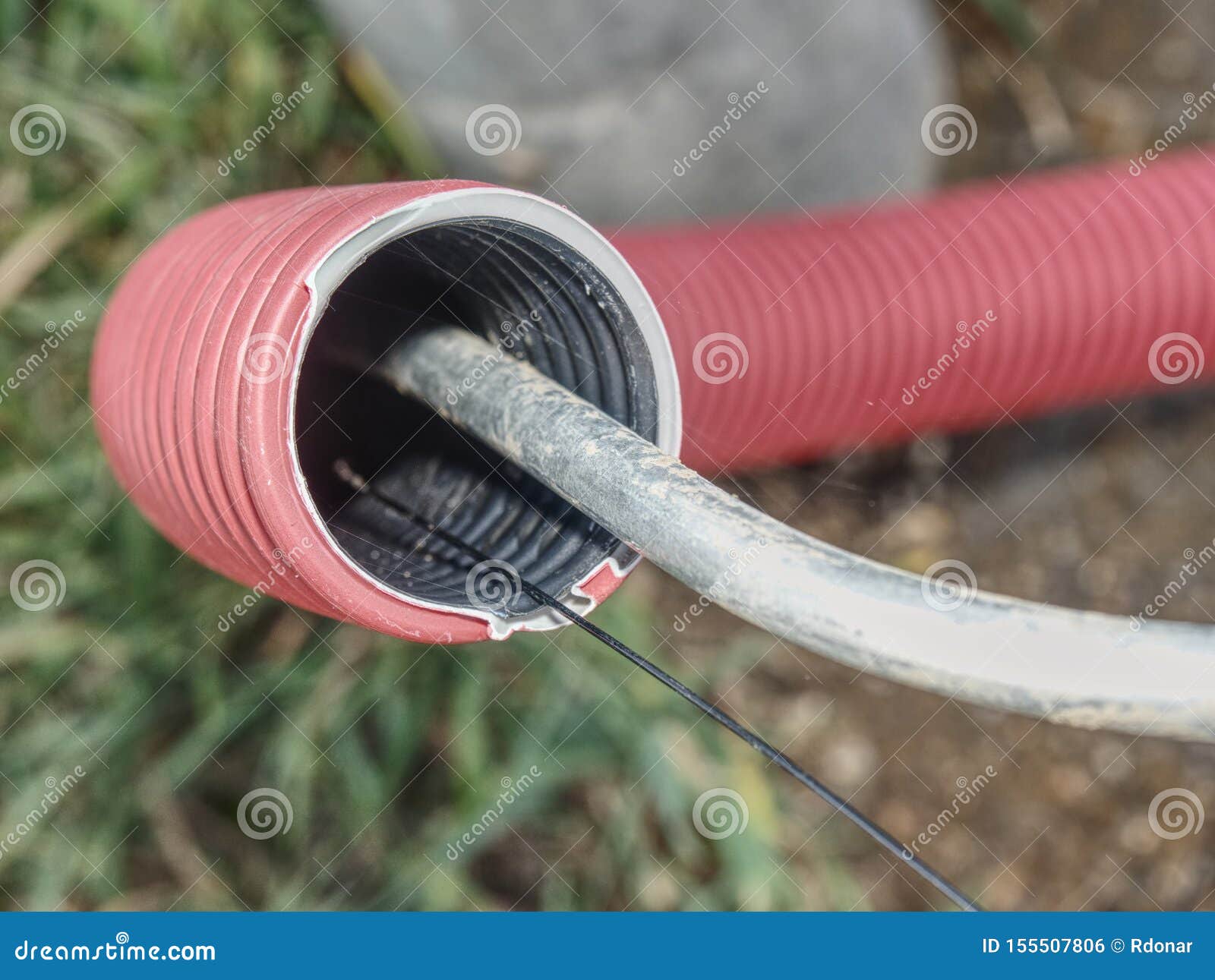 Wire Protection for City Light System in Park. Steel Cable Stock Photo ...