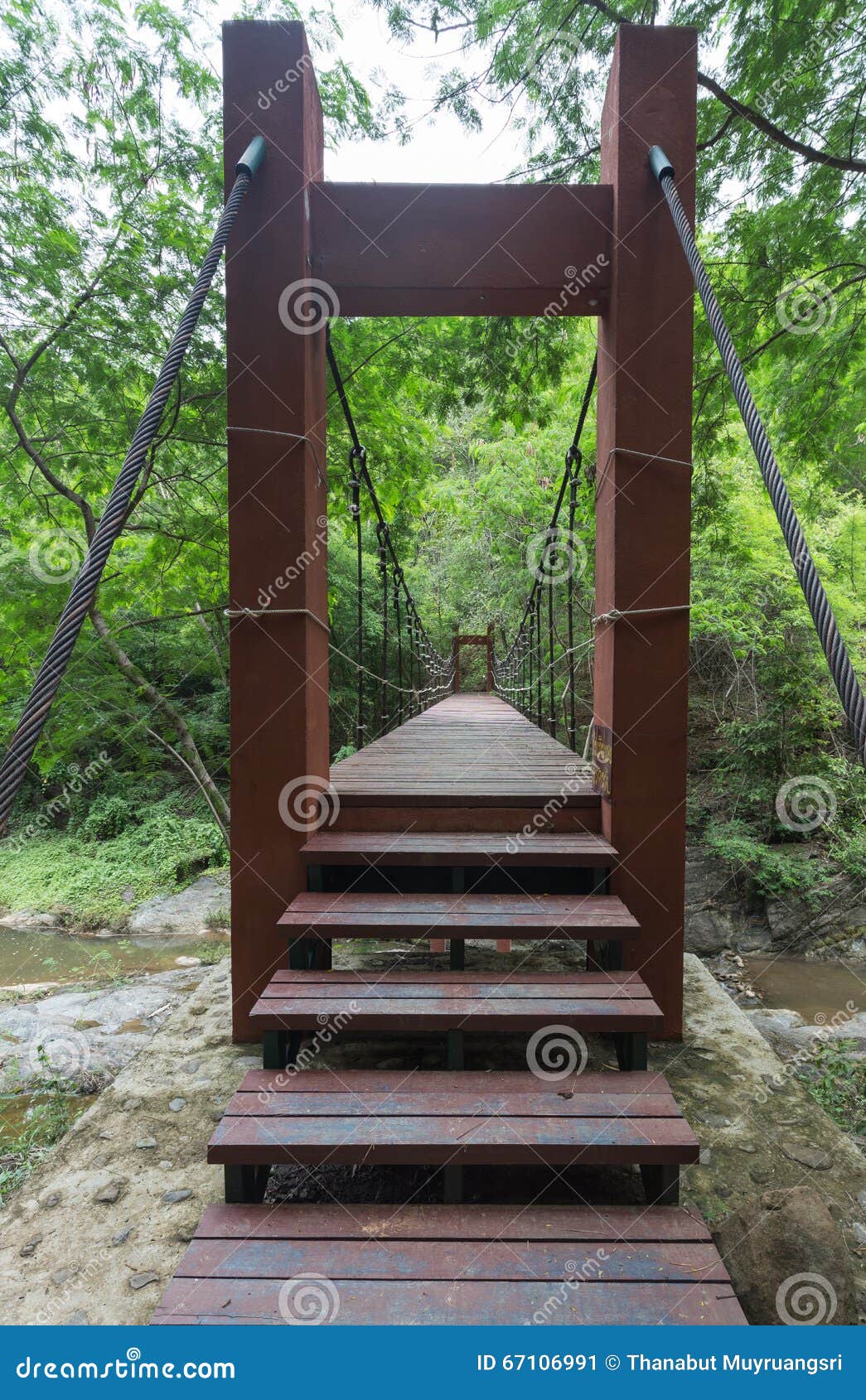 Wire Rope bridge stock image. Image of structure, nature - 67106991
