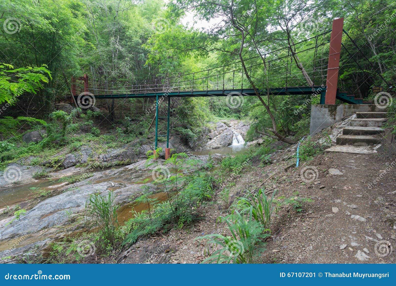 Wire Rope bridge stock image. Image of outdoor, nature - 67107201