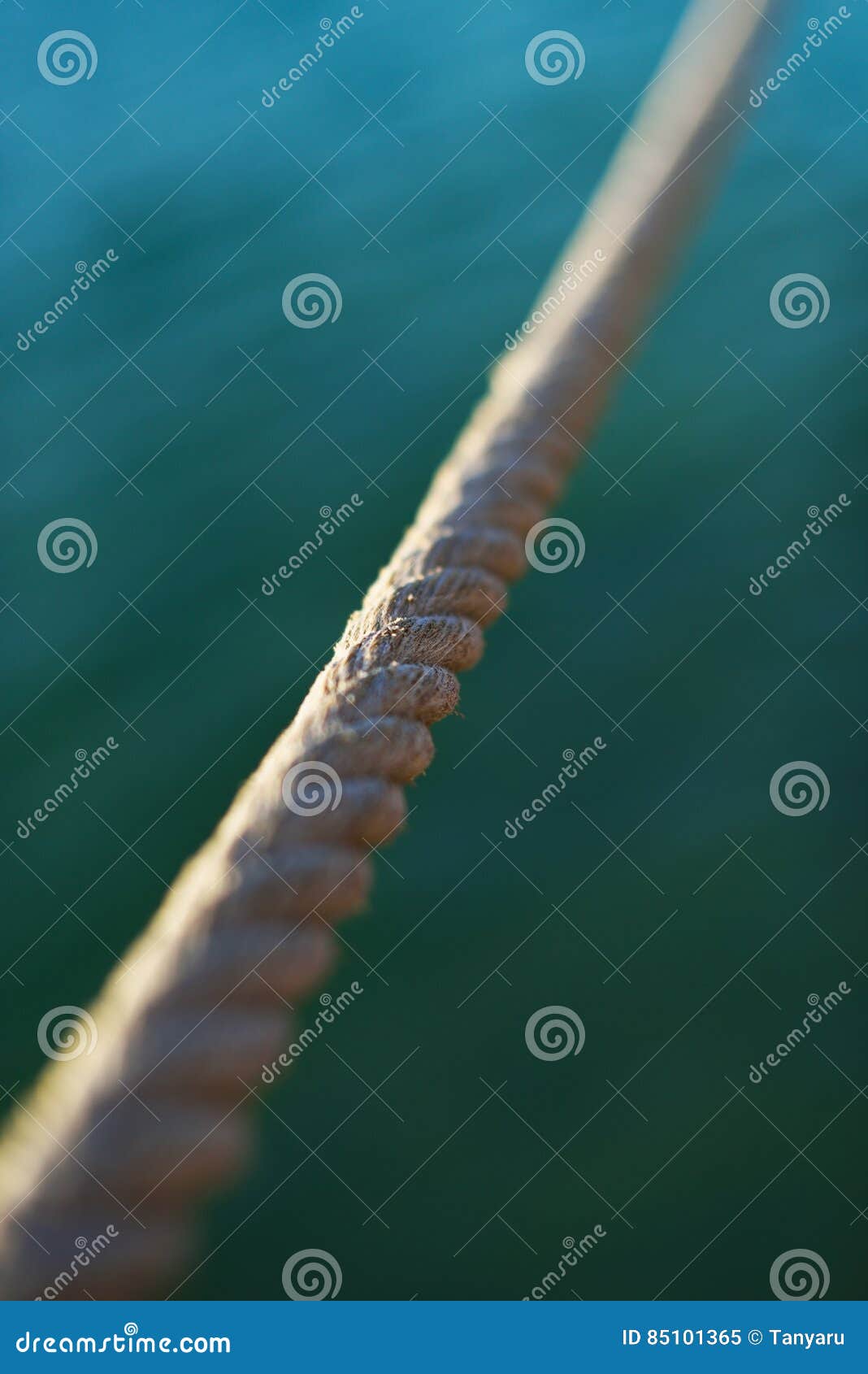 Wire Rope Under Water, Vertical Stock Image - Image of space, tightrope ...