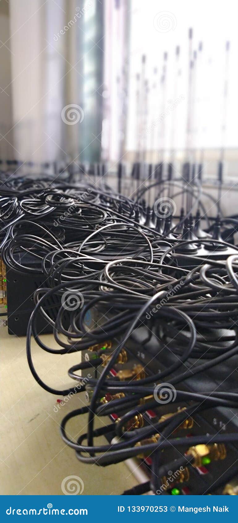 Wire Snakes Photos - Free & Royalty-Free Stock Photos from Dreamstime