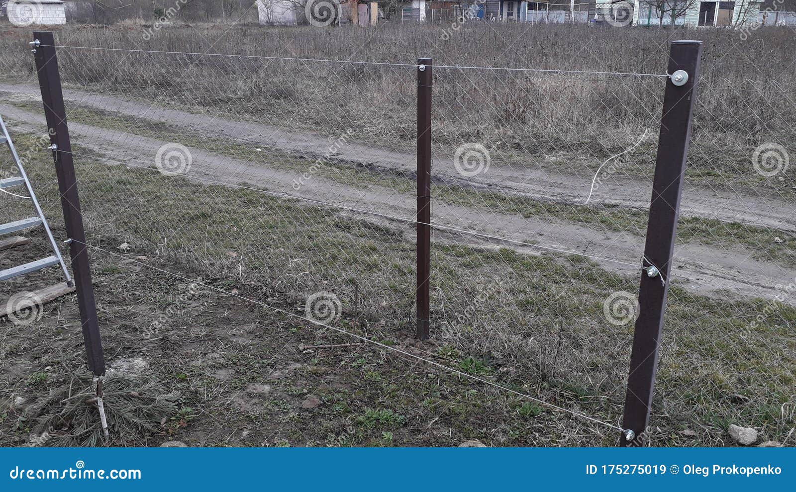 Wire Tension To Support the Vine Stock Image - Image of grow, wire ...