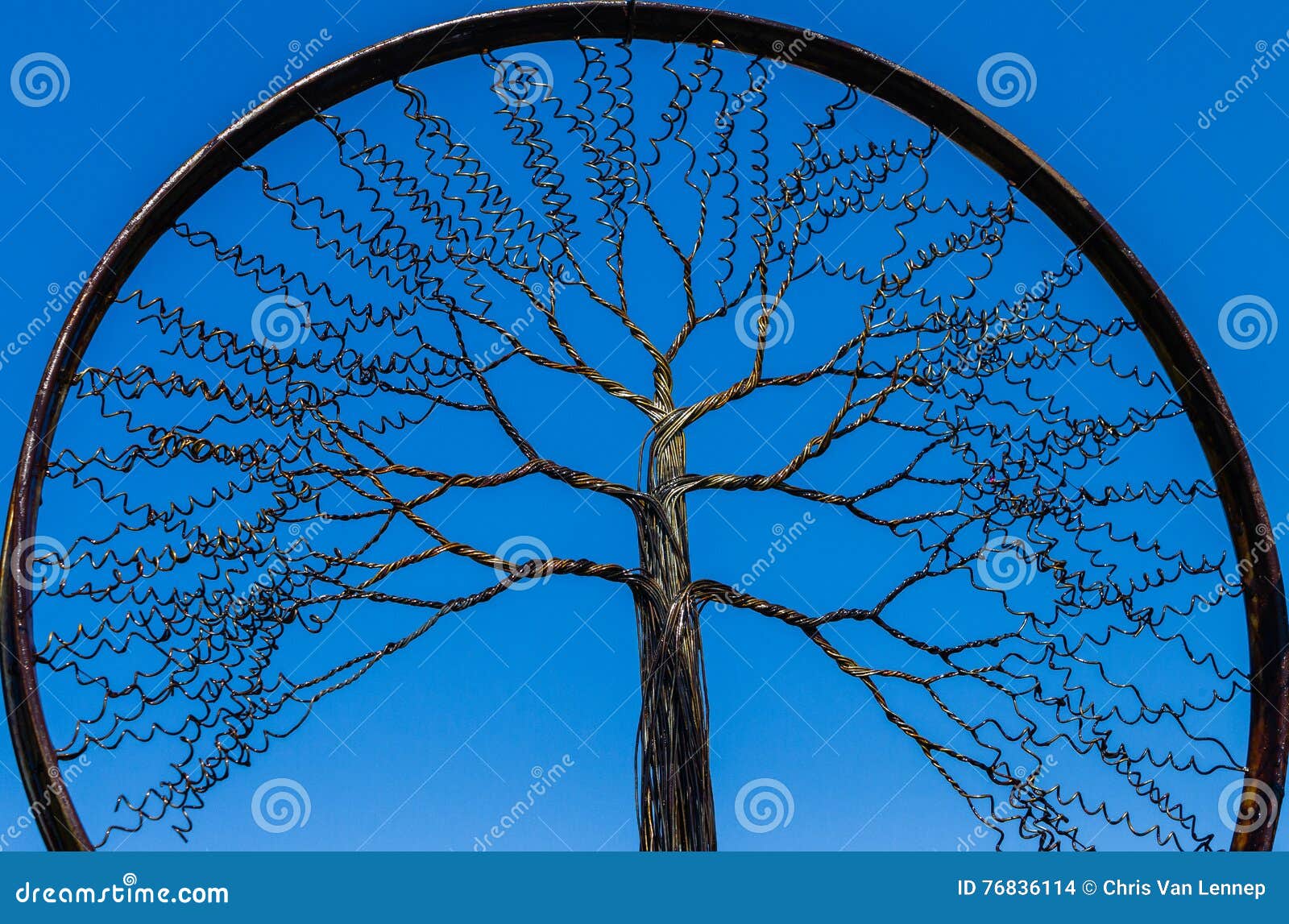 Wire Tree Branches Rim stock photo. Image of decor, handmade - 76836114